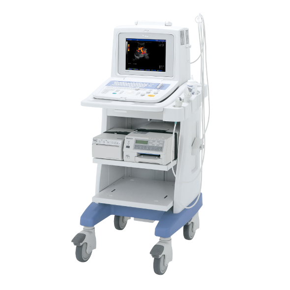 Our History – Fukuda